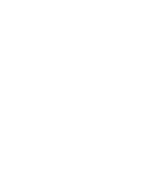 codeXwriter